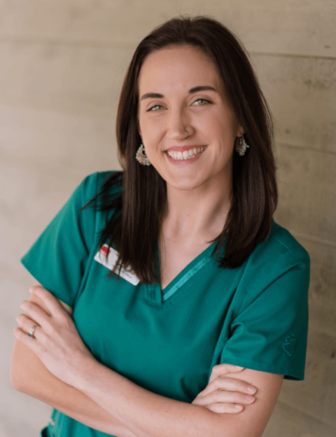 Veterinarian In Springfield, MO| Galloway Village Veterinary