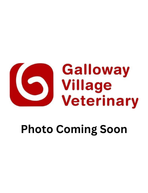 Veterinarian In Springfield, MO| Galloway Village Veterinary