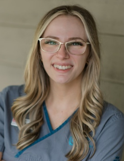 Veterinarian In Springfield, MO| Galloway Village Veterinary